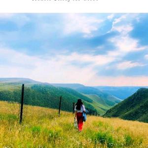 专业纺织阻燃剂生产厂家~山东中康新材料 