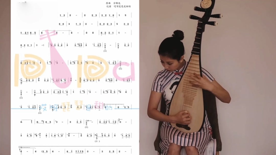 学弹琵琶的 琵琶行教案一等奖