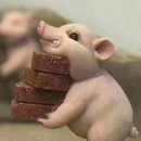 农村囧事丝丝 