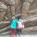 喜欢吃西瓜的欧阳安易 