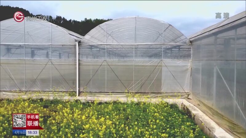 [贵州新闻联播]牢记嘱托闯新路 满怀信心向前进——喜迎省第十三次...