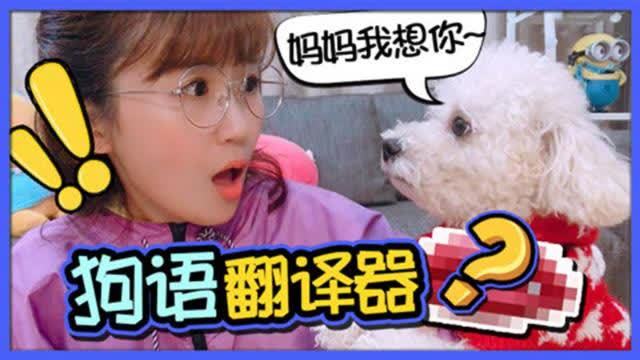 狗狗居然说话啦!超神奇的狗狗语言翻译器!
