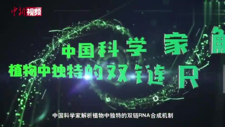 科研人员揭示“RNA工厂”生产新奥秘