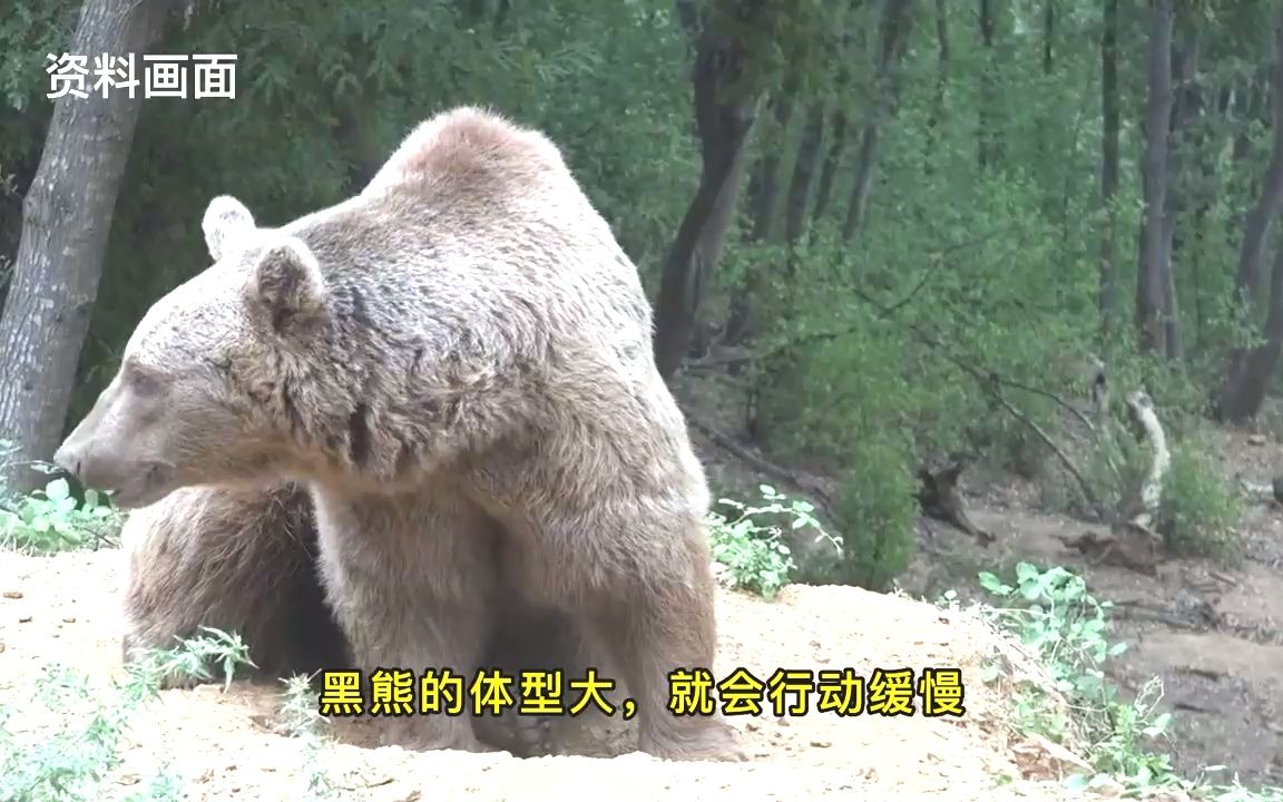日本公布重大发现,地球外首次确认生命之源,三个焦点值得关注