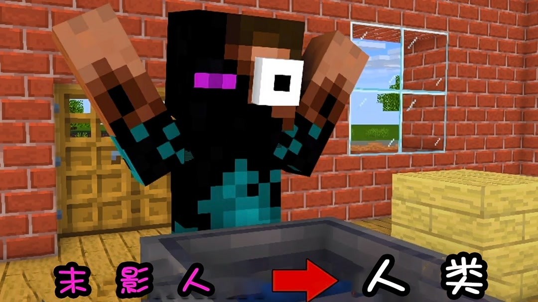 小新 我的世界:末影人变成半人半末影的黑化幽灵