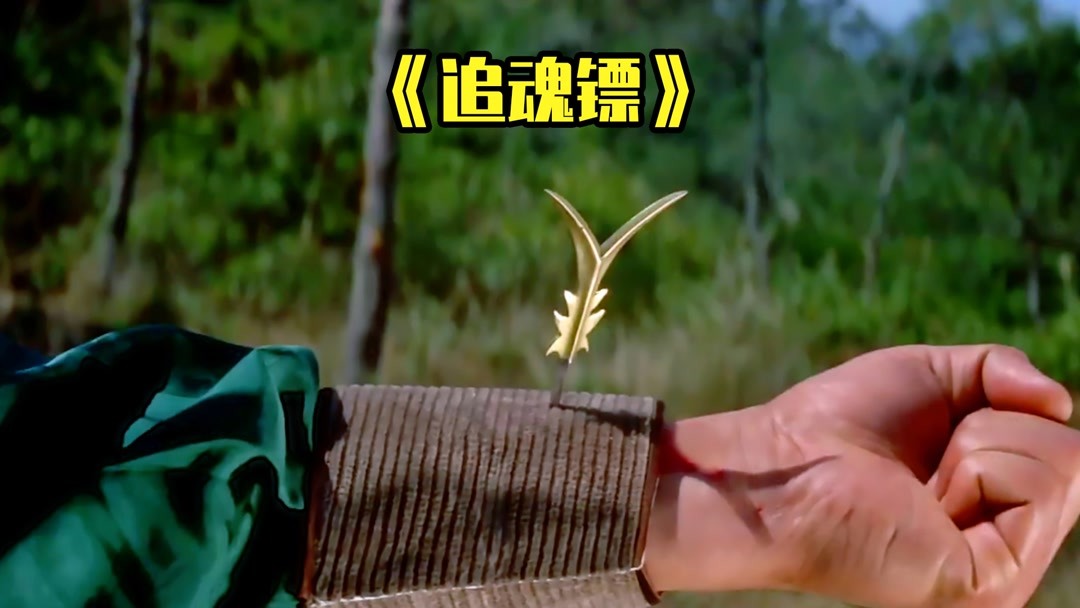 动作片:独门暗器追魂镖,被命中需断臂自保,却隐匿江湖十余年