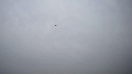 采用差速控制转向的双发下单翼模型飞机试飞视频