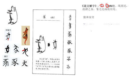 舒阳同学聊汉字27--豕