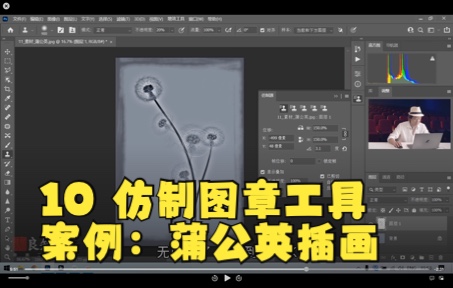初级证书配套视频连载10_仿制图章工具案例:蒲公英插画