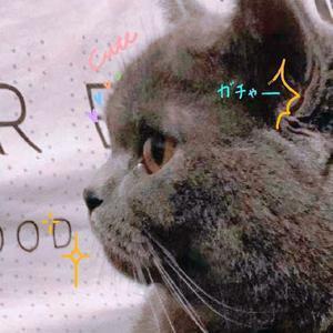 眼睛会了手还没会 