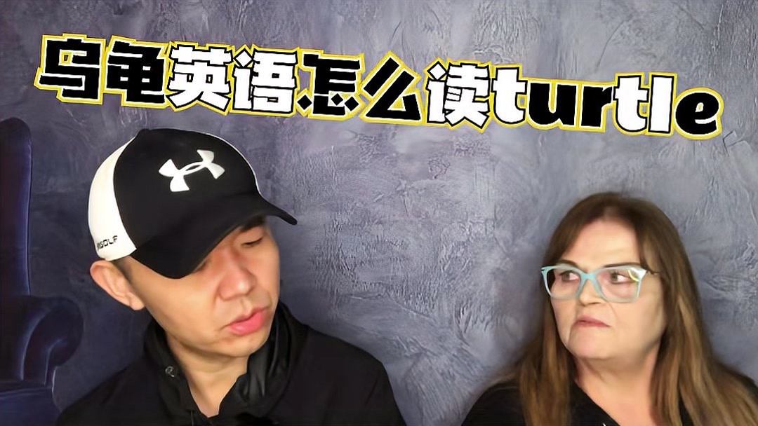 乌龟英语怎么读turtle
