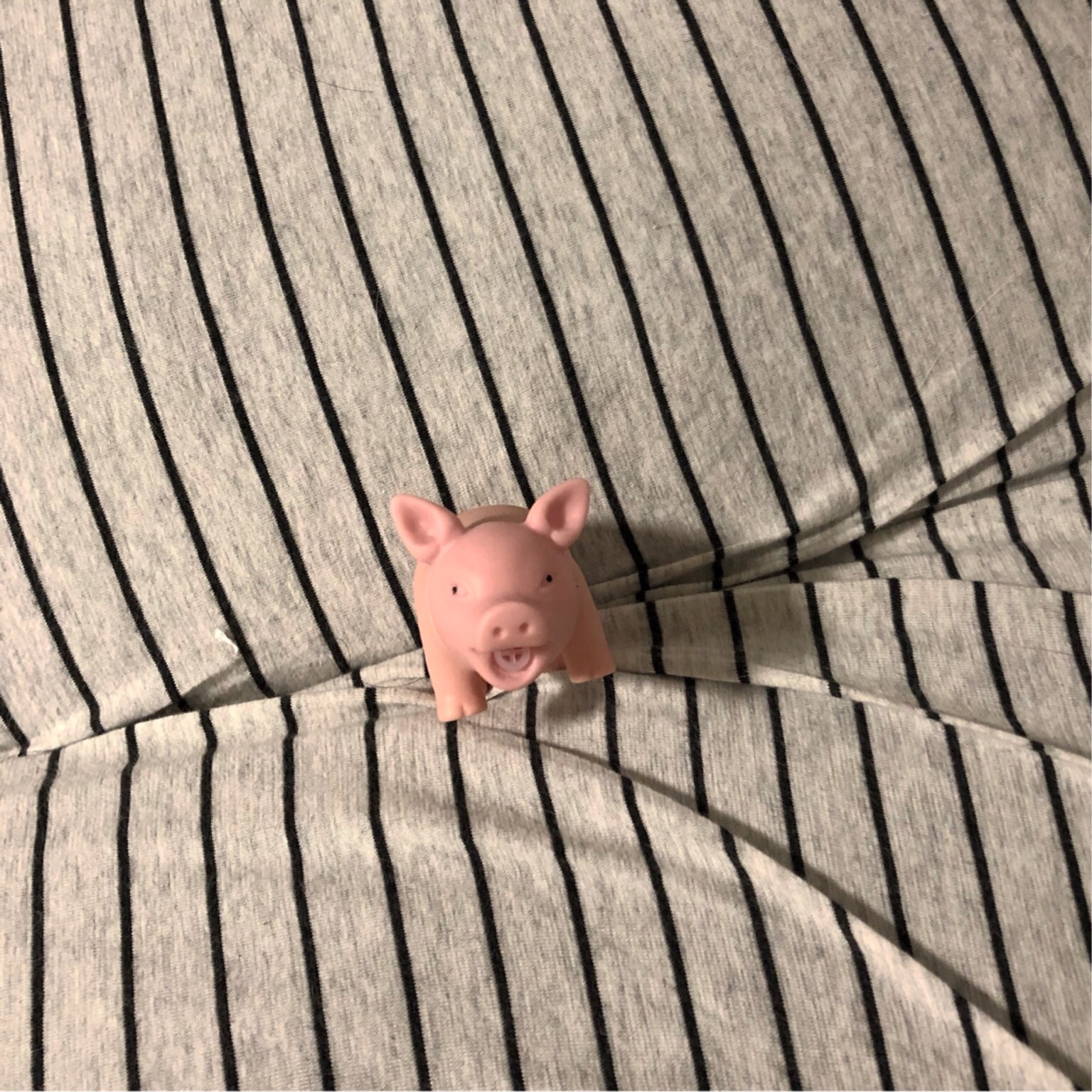 顶天立地一米6 