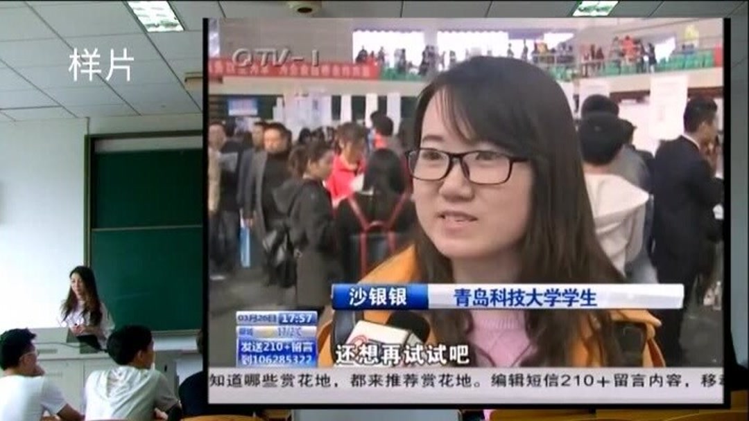 大学就业竞争力之提升计划