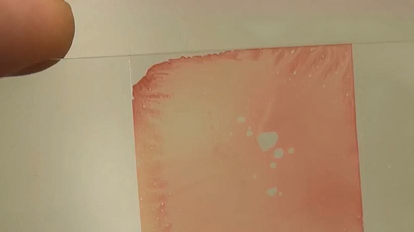 显微镜放大1500倍探究血液里面的红白细胞高低渗溶液