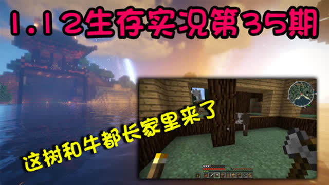 我的世界112生存实况第35期:我搭房子呢,小牛你瞅啥瞅?