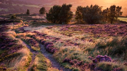 航宇带你看世界 