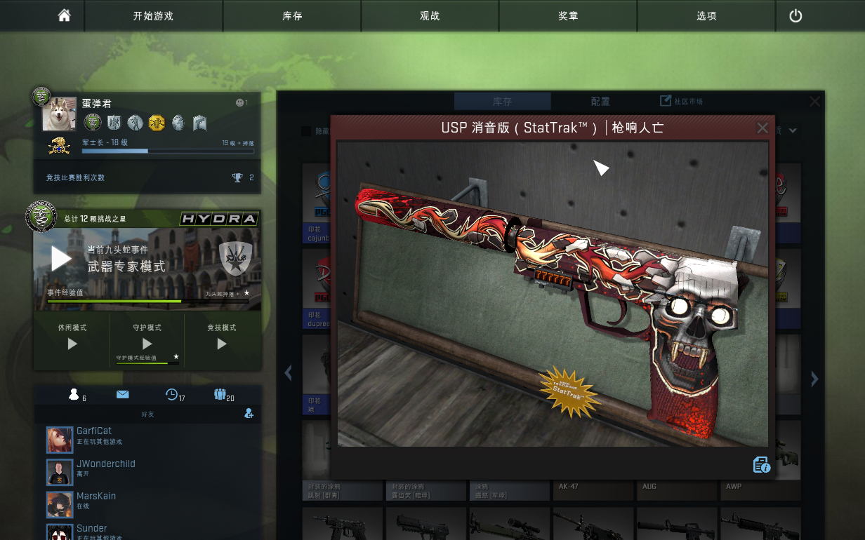 CSGO如何获得一把暗金枪响人亡~