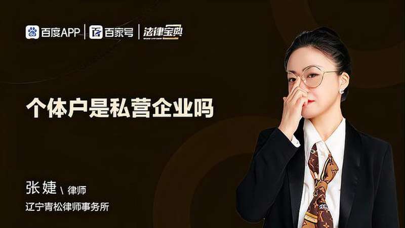 个体户是私营企业吗