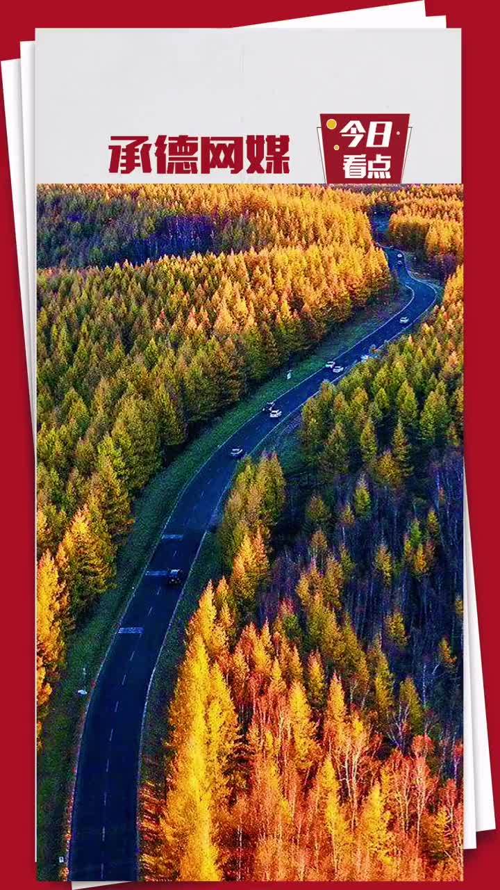 围场县城至塞罕坝国家森林公园8路公交车线路图来啦!