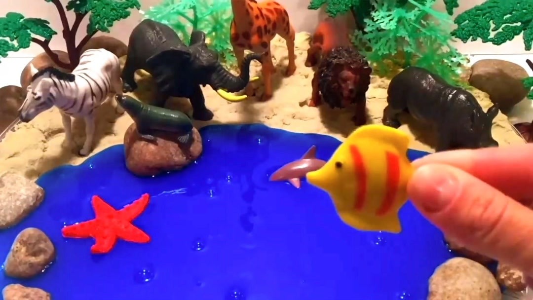 儿童益智动画,各种各样的动物聚会!