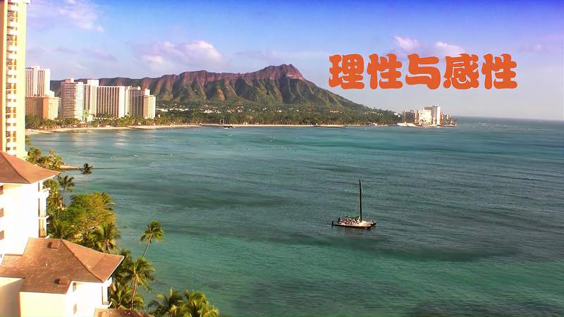 如何辩证看待“感性”与“理性”?