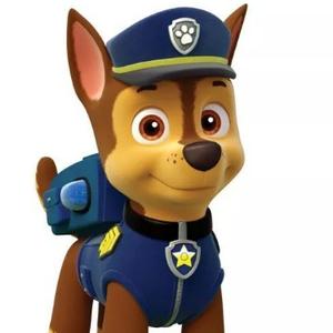 挽笙团队组员灬阿奇警长爱动漫 