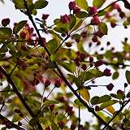 失去了信用的人 