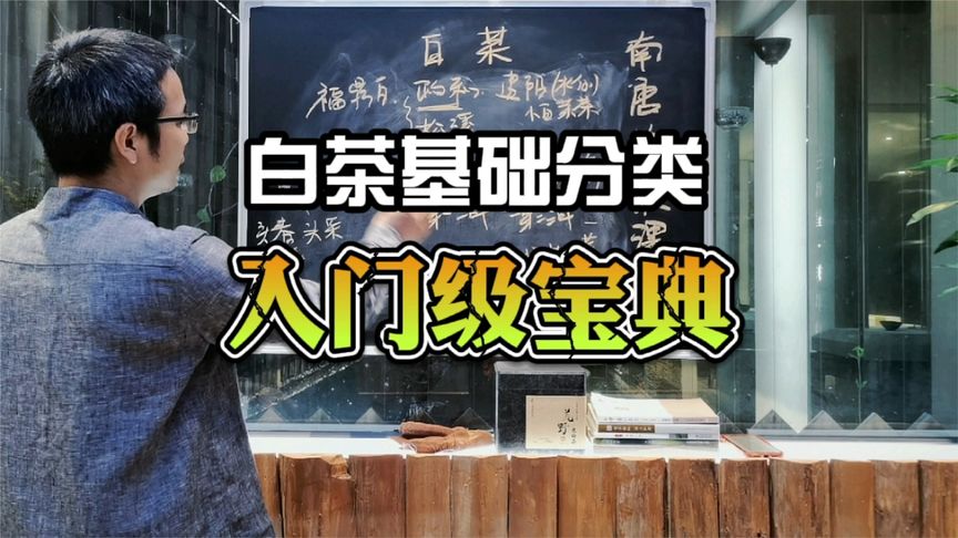 学茶笔记19 | 入门必看!最详细的白茶分类档案,轻松搞懂白茶!