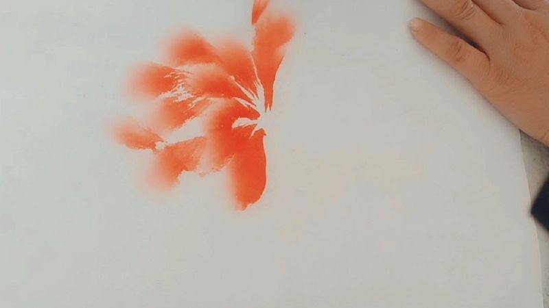 老师详细讲解牡丹的画法,简单易学,喜欢画画的朋友一起去看看