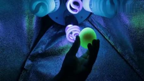 可以在家做的小实验,太简单了!