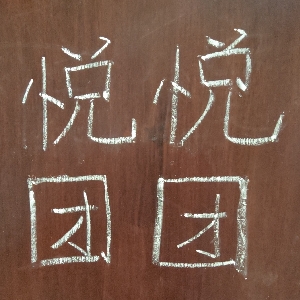 悦悦团团 