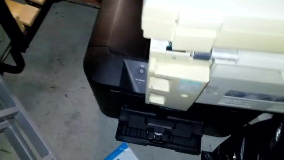 富人区垃圾桶探宝,富人区什么好东西都能捡到