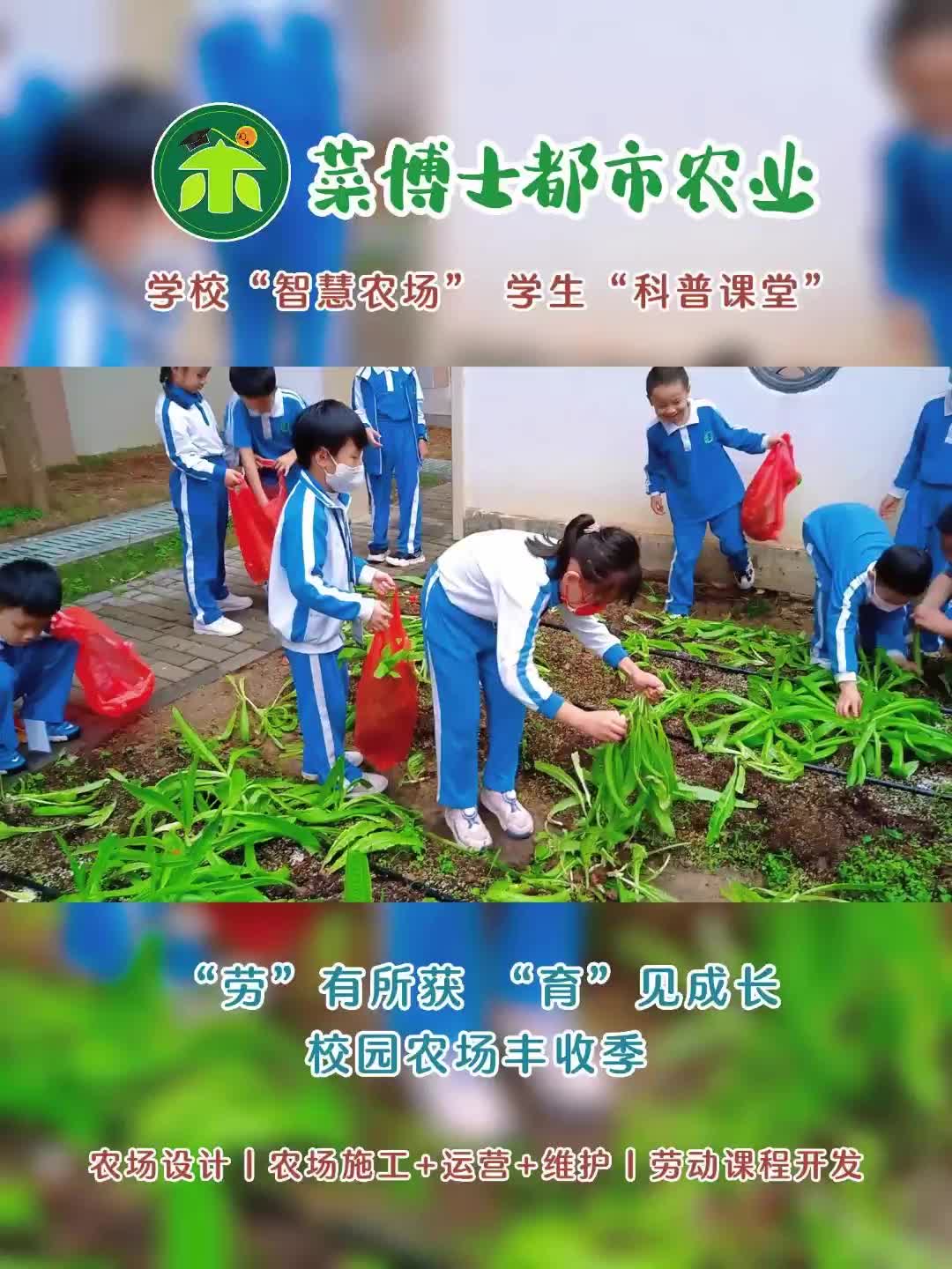 ...研学基地,深圳农业科普实践基地实拍校园农场丰收季;提供农场设计...
