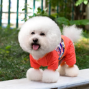 儿童趣味小动画 