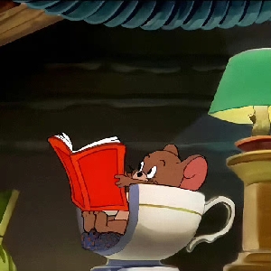 被秃头困扰的张张 