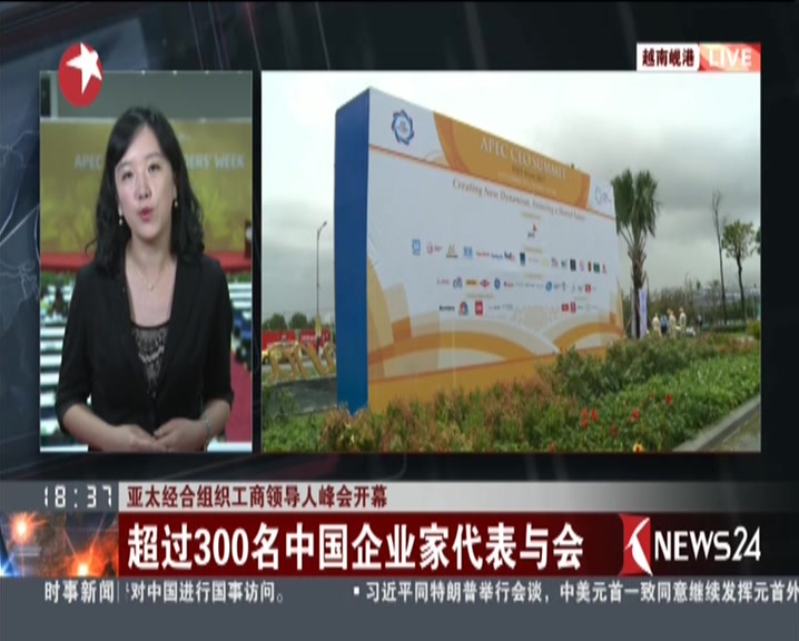 亚太经合组织工商领导人峰会开幕