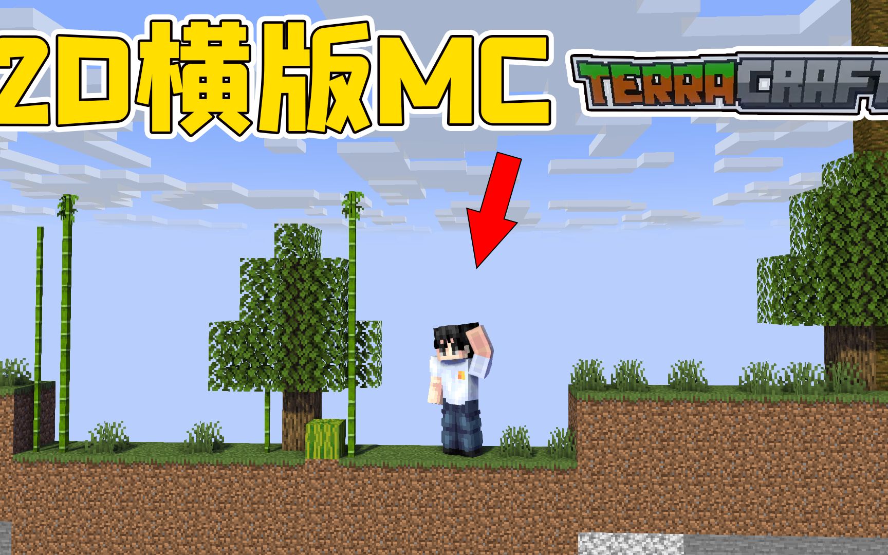 我的世界mod:假如MC变成2D横版游戏,还能进入下界和末地!