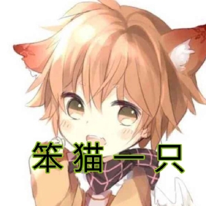 T笨猫一只 