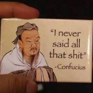 一只野生的提姆林 