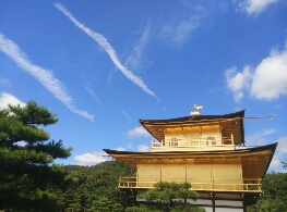 云烟0 