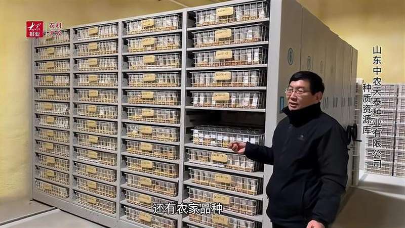 种质资源有什么用?泰山学科领军人带你去瞧一瞧