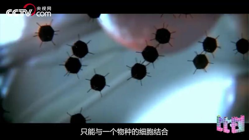 【野生动物毒性排行榜 病毒是如何从动物到人的】SARS、禽流感、...