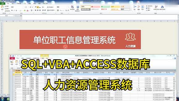 SQL VBA ACCESS数据库,人事花名册信息管理系统,大学毕业设计教程