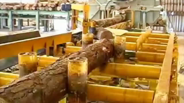 先进的现代技术木材切割机,原木分分钟变木板