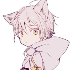 一只南猫 