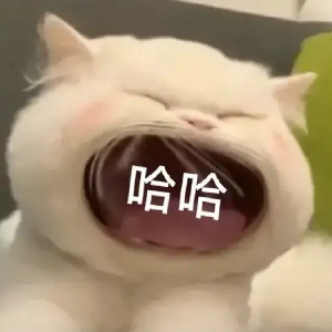 隔壁小灵 