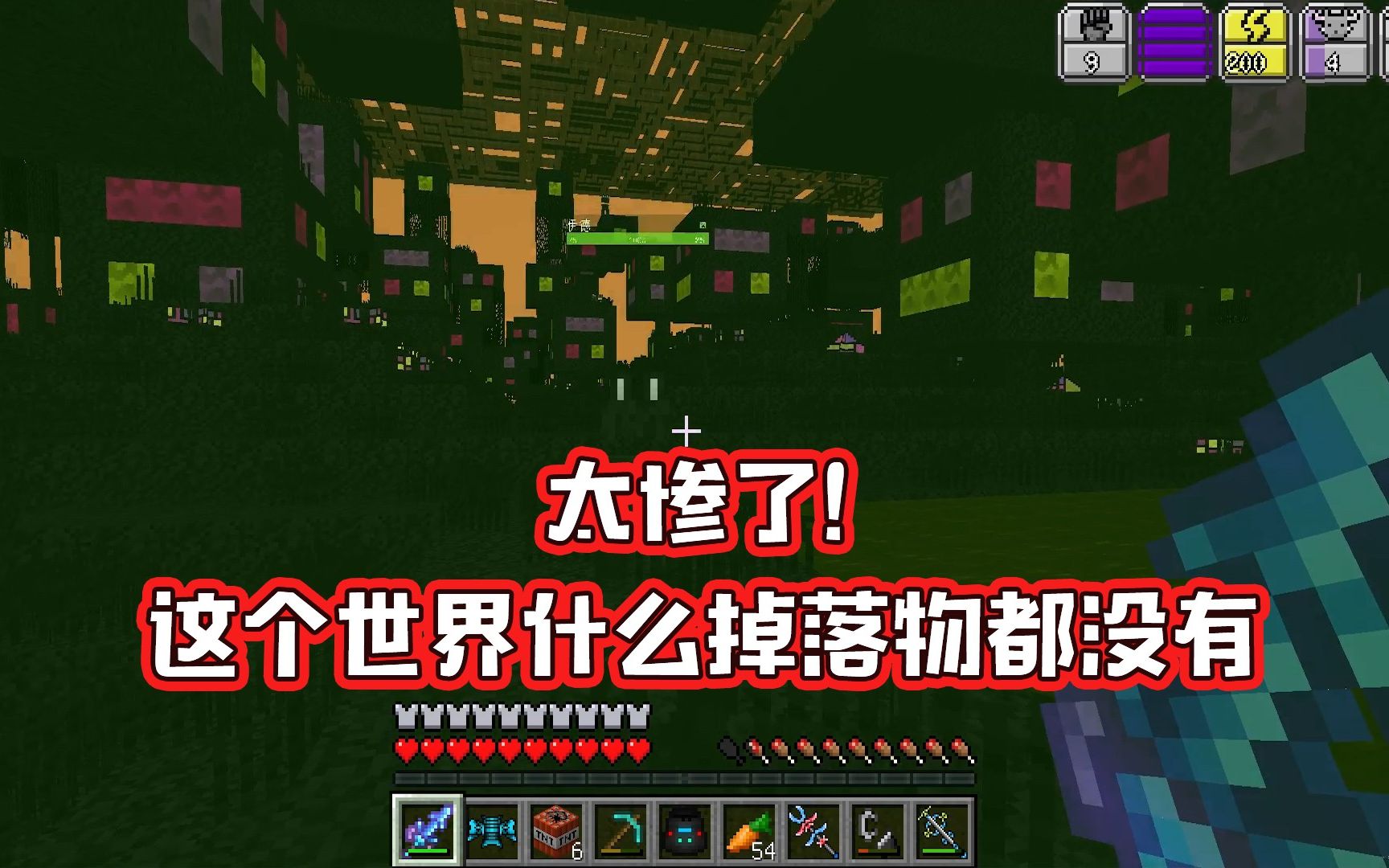 我的世界虚无79:史上最坑的世界,什么掉落物都没有