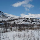 娱乐解说的鲜于 