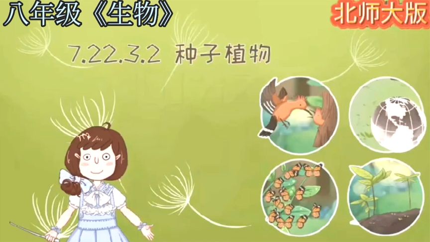 八年级《生物》:种子植物。小初全科动画课程,让学习既轻松有趣