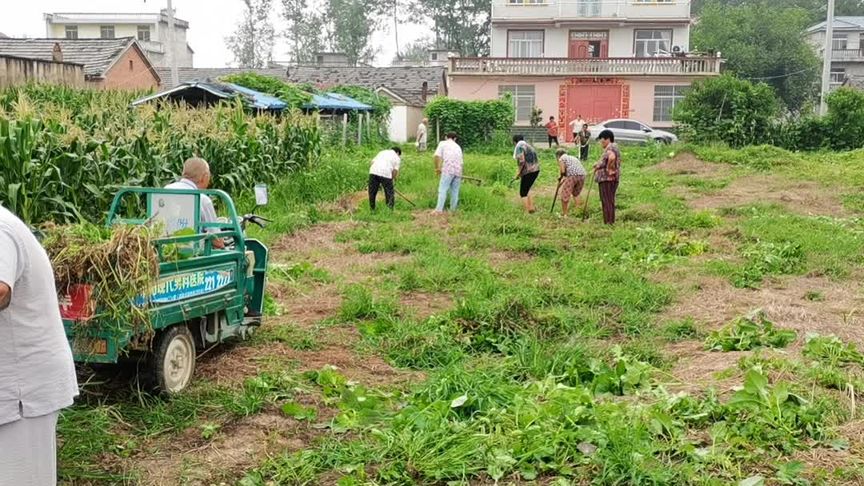 乡村振兴:之一、环境卫生整治,人人参与,争做清洁农户